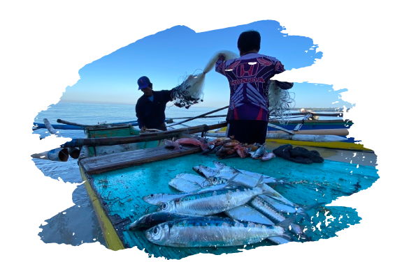 Fisheries Management Area 8 - Fisheries Management Area